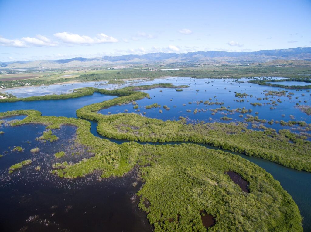 Anuncian esfuerzos para restaurar la Reserva de Bahía de Jobos