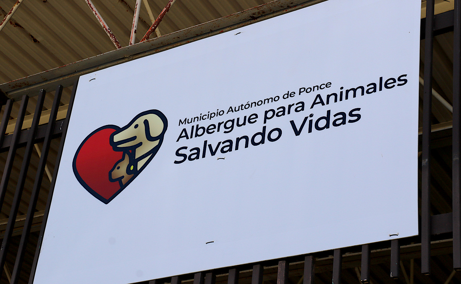Para el 2023: la nueva etapa del Albergue de Animales de Ponce