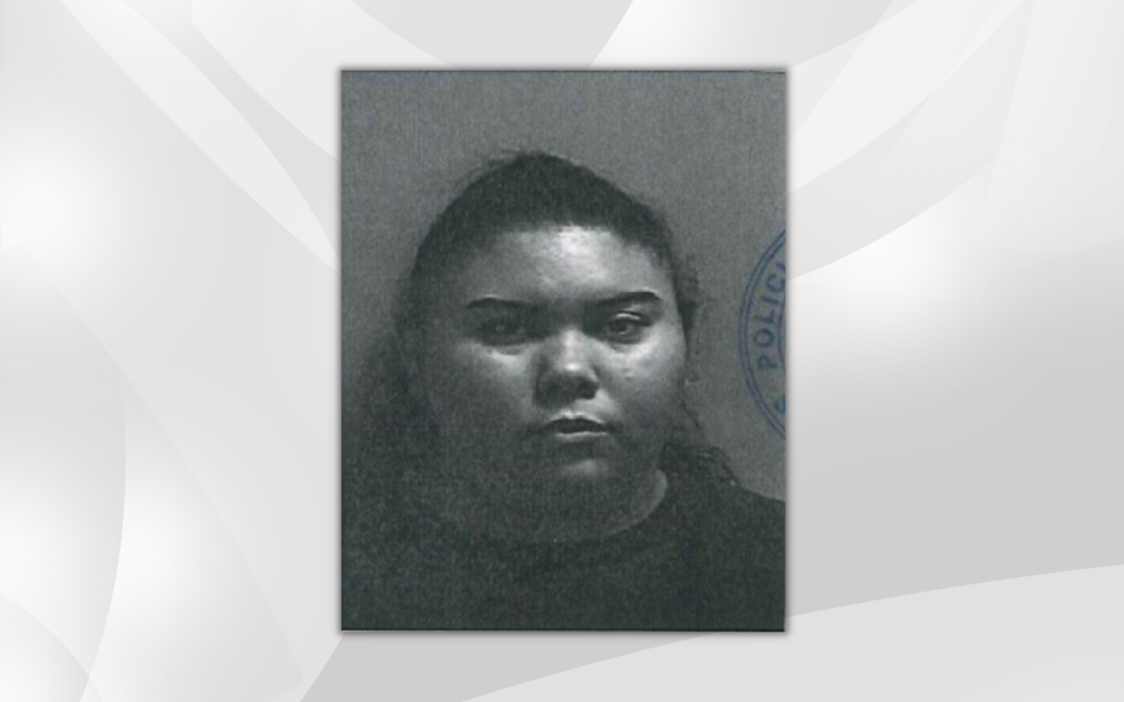 Radican cargos contra mujer por violencia doméstica en Ponce