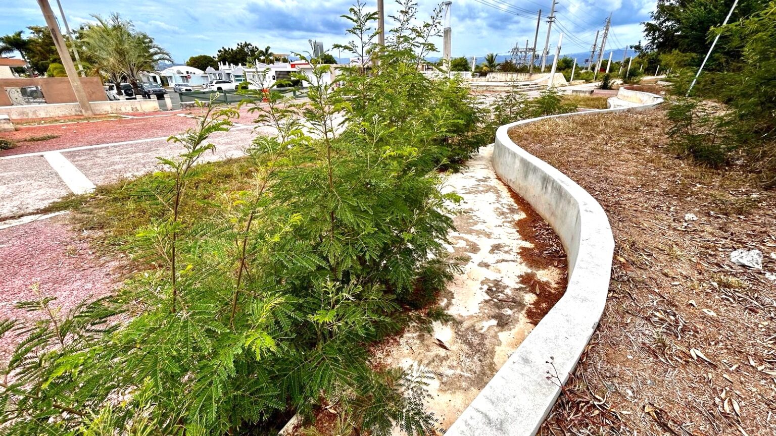 Ponce: abandonado el parque lineal que costó $22 millones