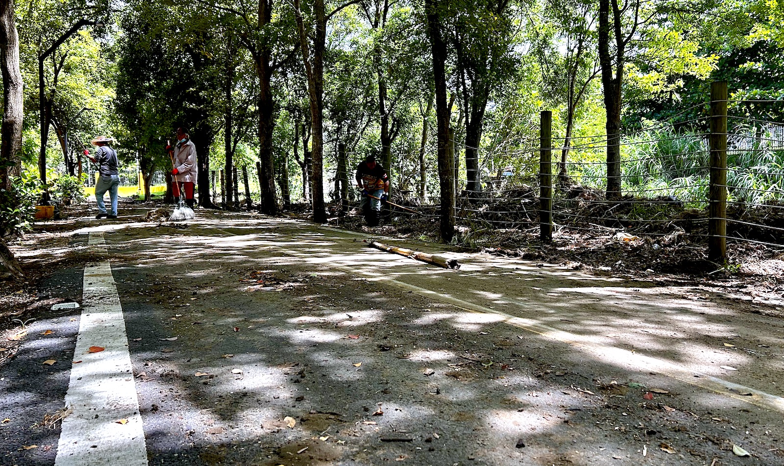Reabrirá en menos de una semana el Parque Urbano de Yauco