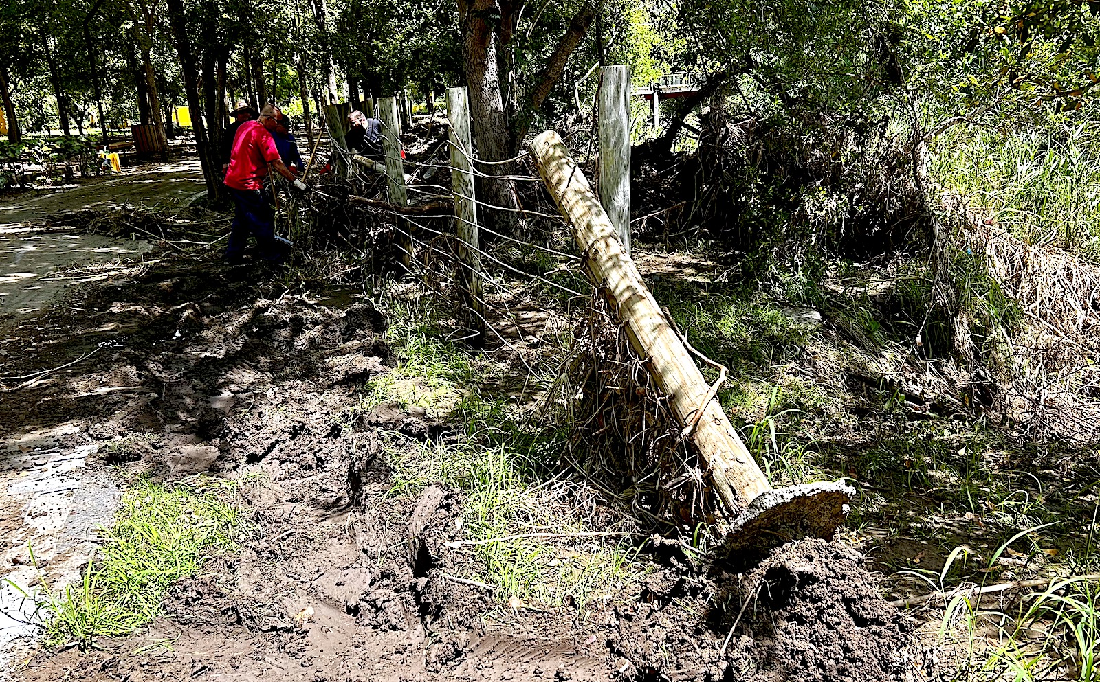 Reabrirá en menos de una semana el Parque Urbano de Yauco