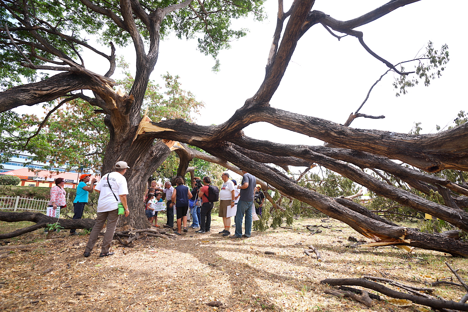 A una década de El Samán: afloran lecciones y una nueva amenaza